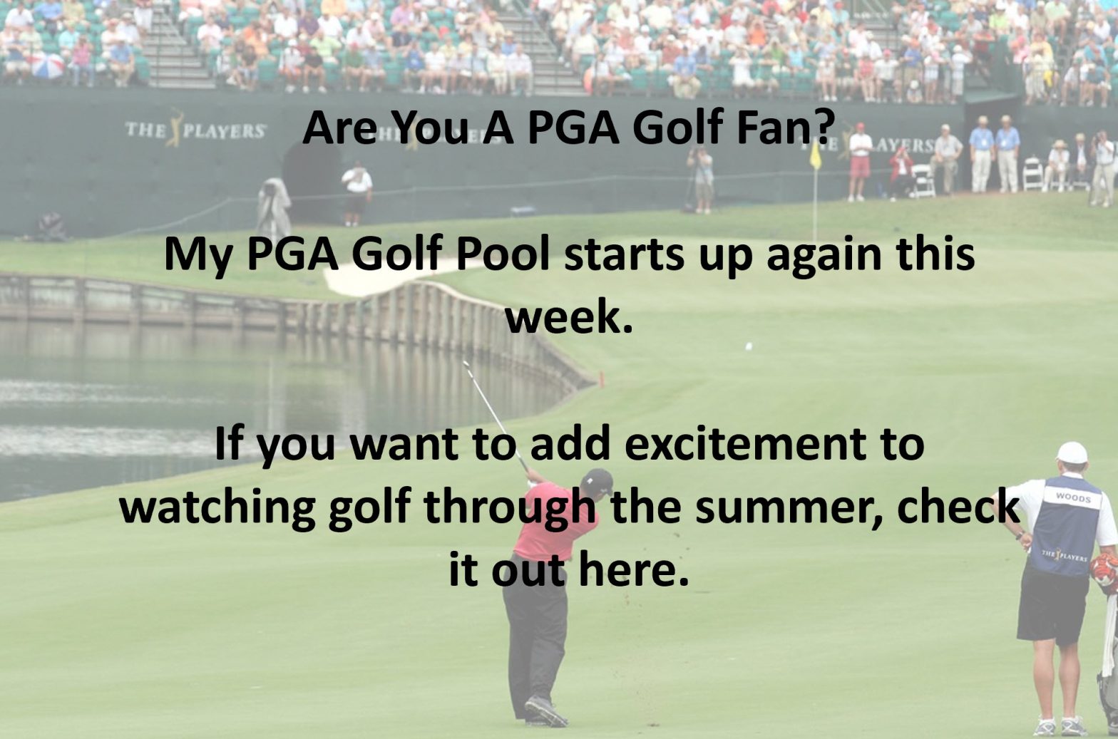 2022 ARP PGA Golf Pool